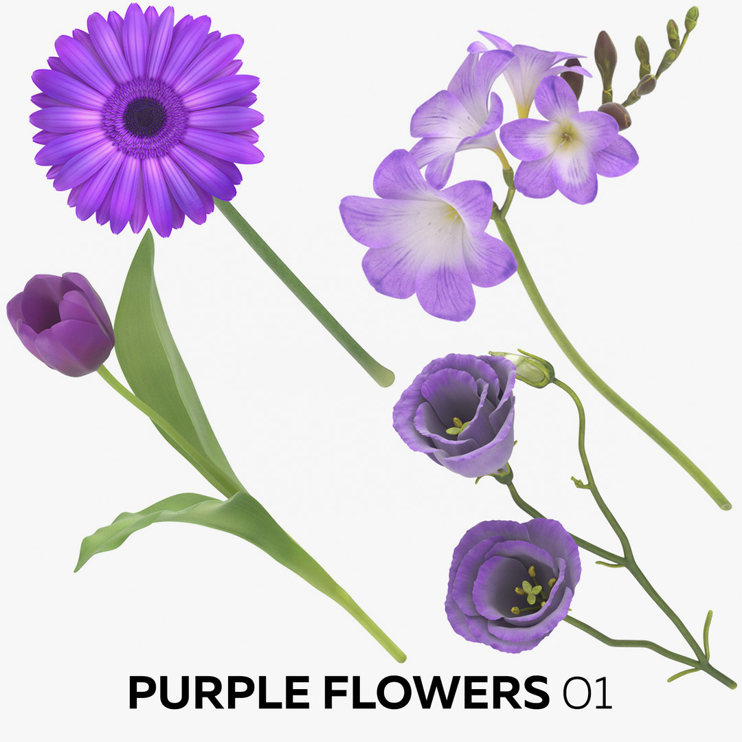 3D purple flowers 01 - TurboSquid 1452568