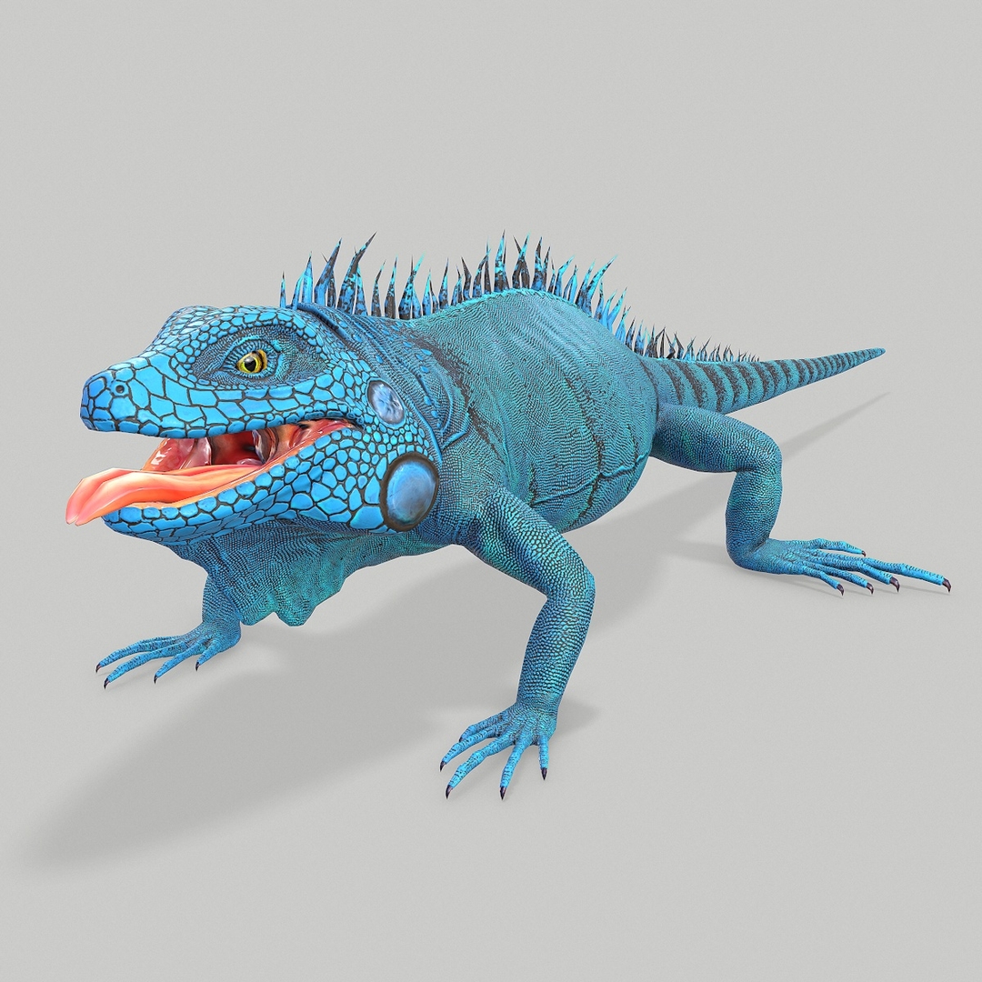Iguana blue 3D model - TurboSquid 1452590