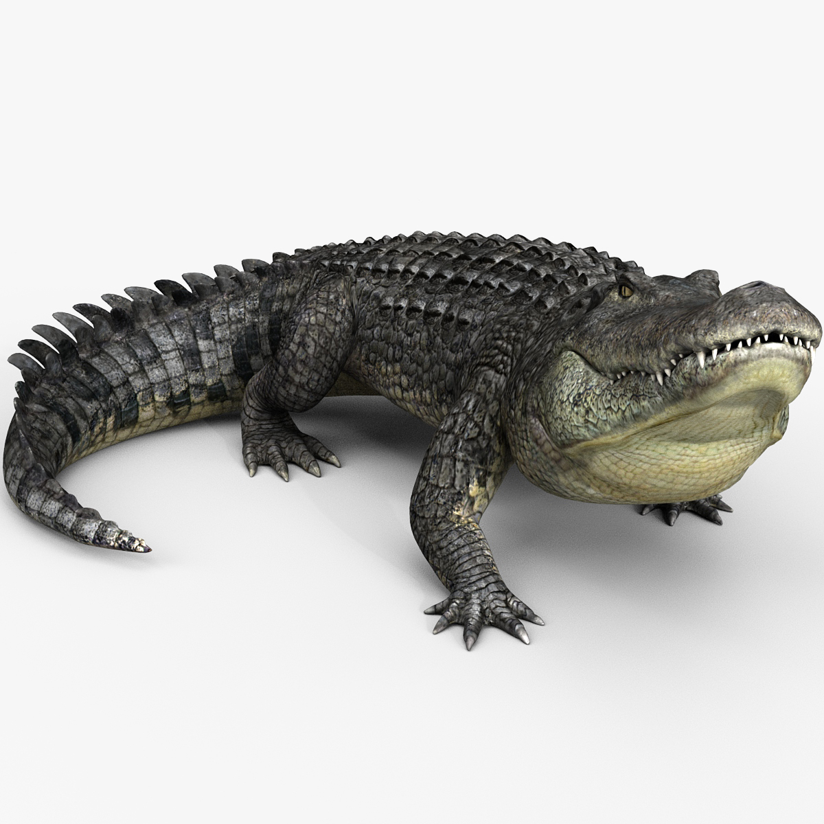 3D alligator animations model - TurboSquid 1450473