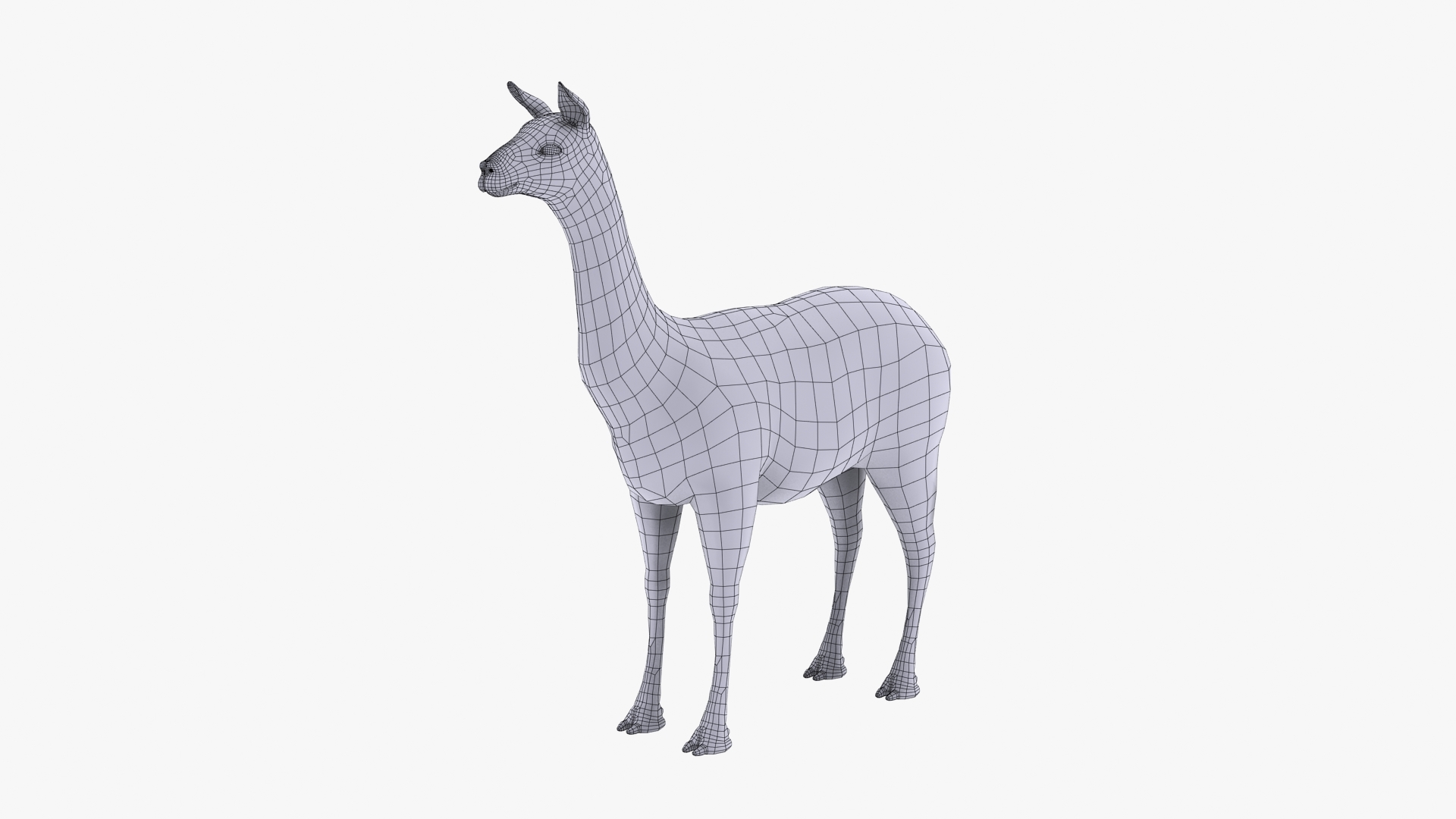Llama lama 3D model - TurboSquid 1452987