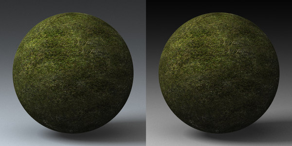 Materials Landscape Grass Materials Shaders