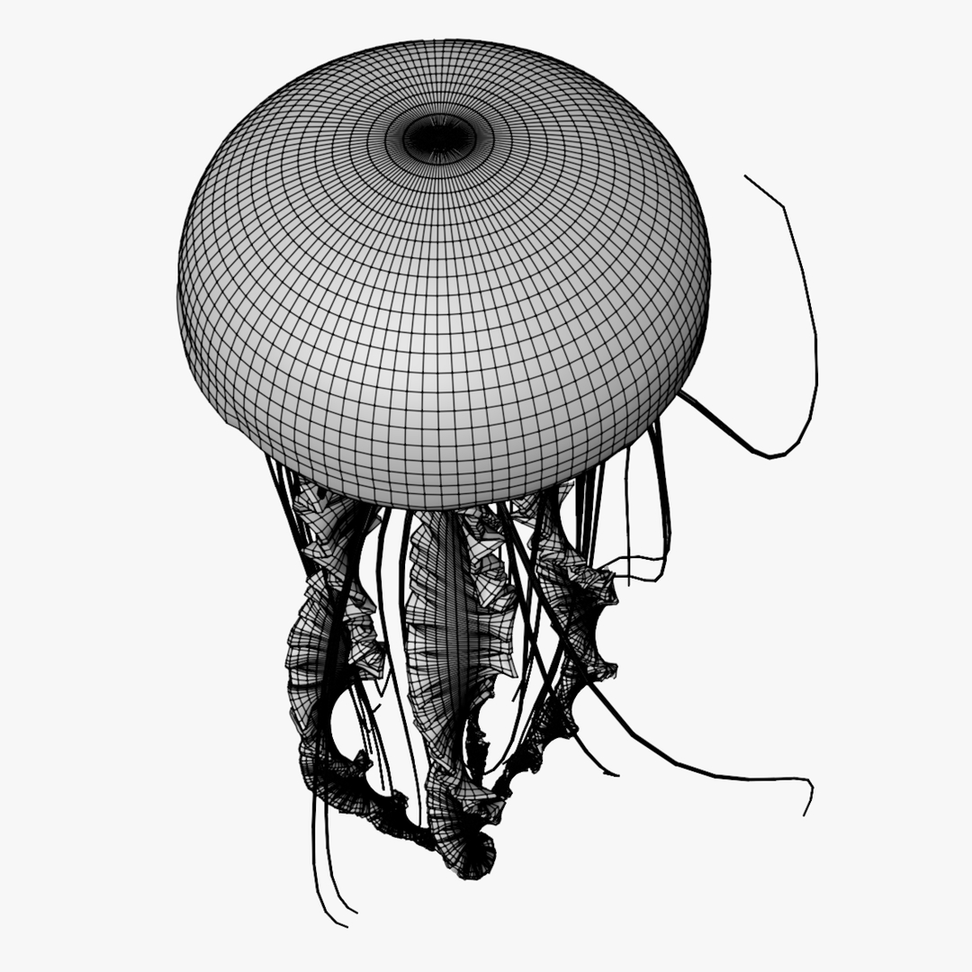 Realistic jellyfish 3D model - TurboSquid 1453390