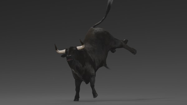 3D bull rigged - TurboSquid 1453541