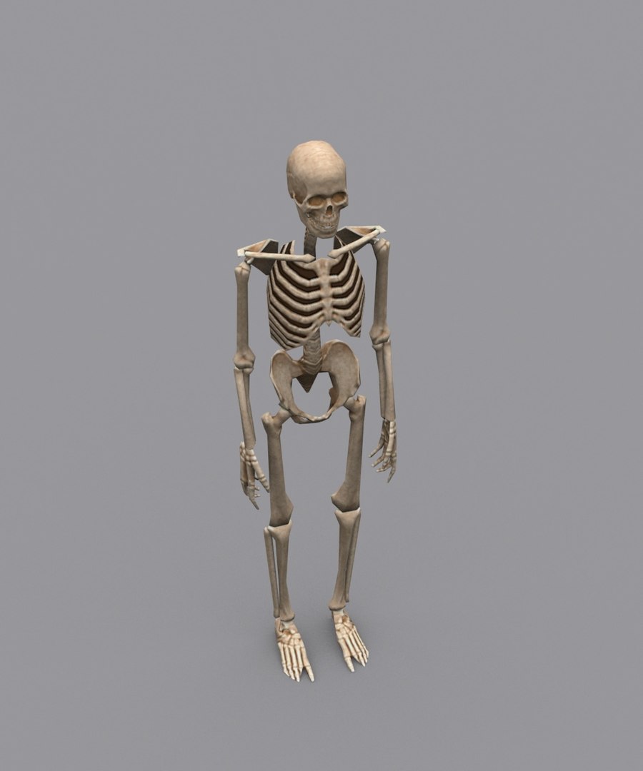 Skeleton mobile rigged 3D model - TurboSquid 1453677
