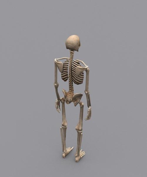 Skeleton mobile rigged 3D model - TurboSquid 1453677