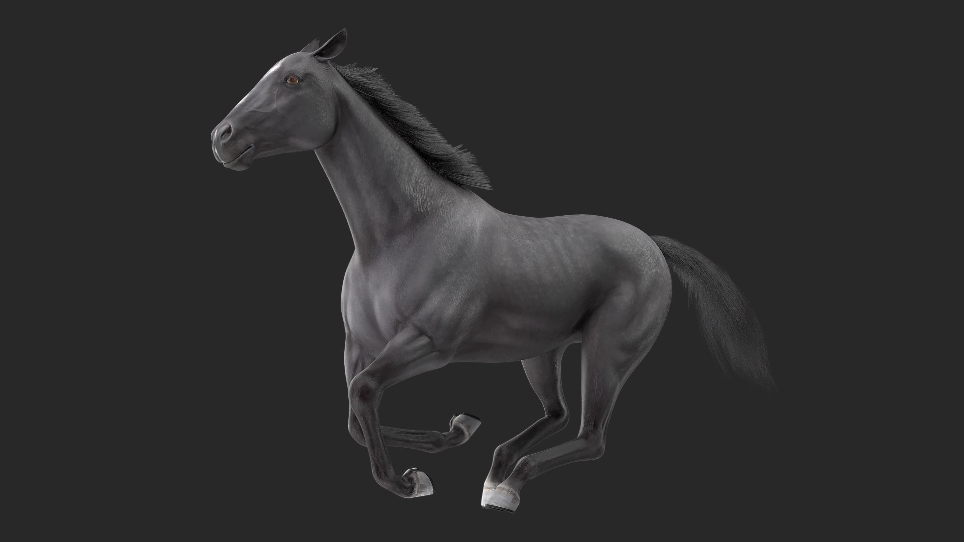 Gallop pose horse racing 3D - TurboSquid 1454737