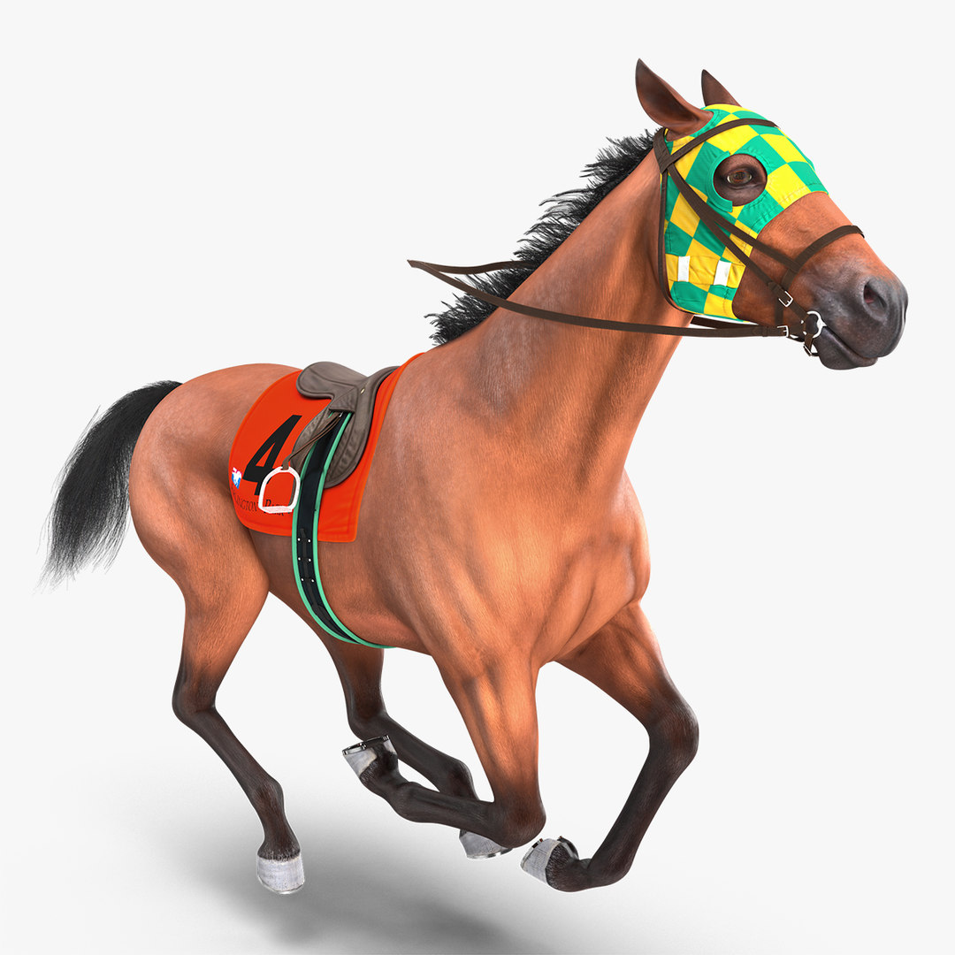 Racehorse gallop pose horse 3D model - TurboSquid 1454740
