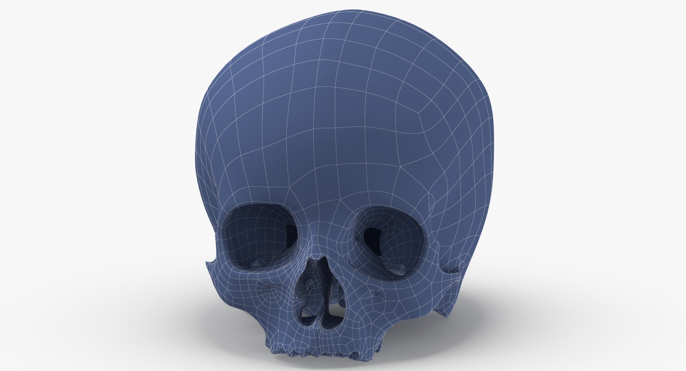 3D human skull cranial 01 model - TurboSquid 1454412