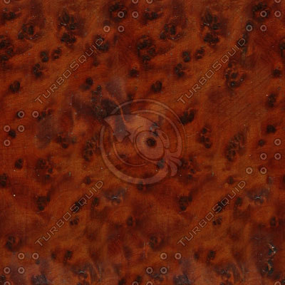 Texture JPEG Burr walnut elm