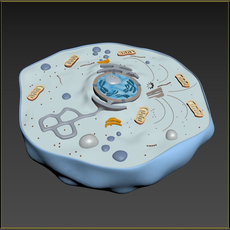 Die Zelle im 3D-Modell 3D-Modell - TurboSquid 1455752