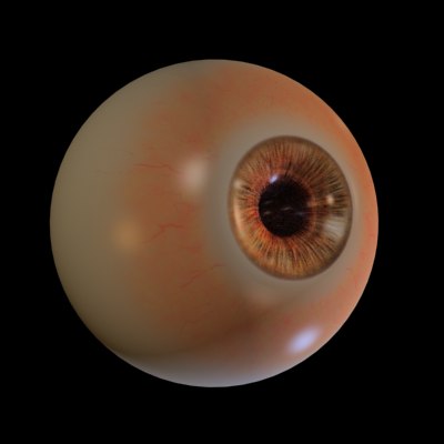 Eyes 3D Models for Download | TurboSquid