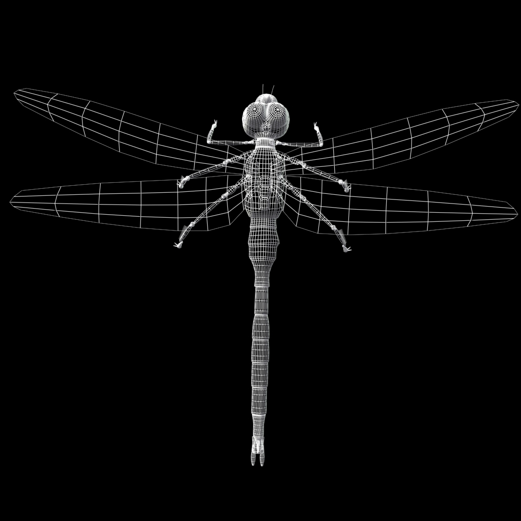 3d model of dragon fly