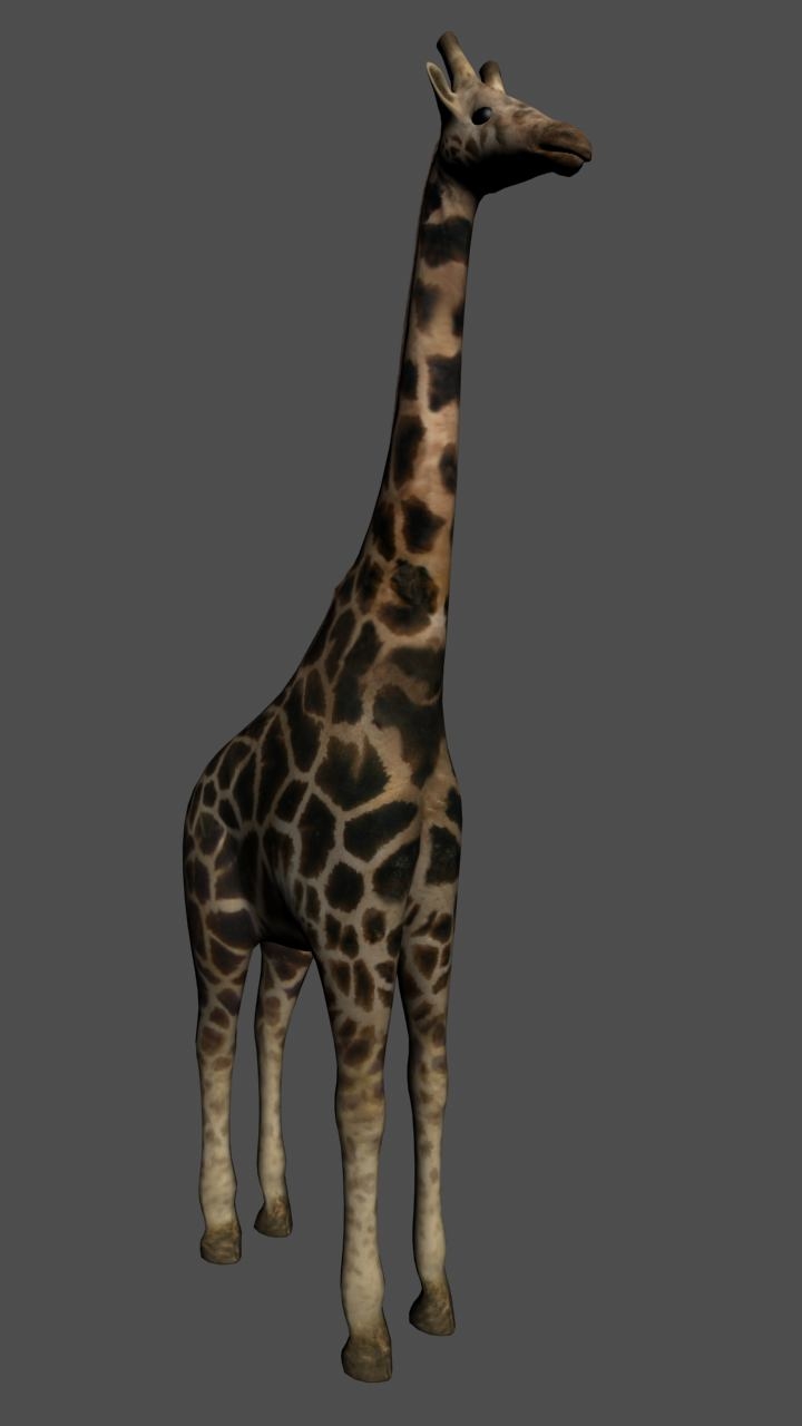 giraffe max