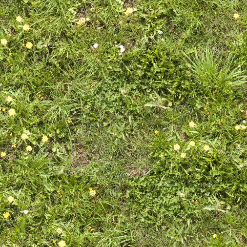 Texture JPEG grass ground green
