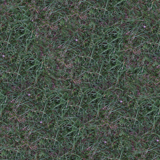 Texture JPEG grass ground green