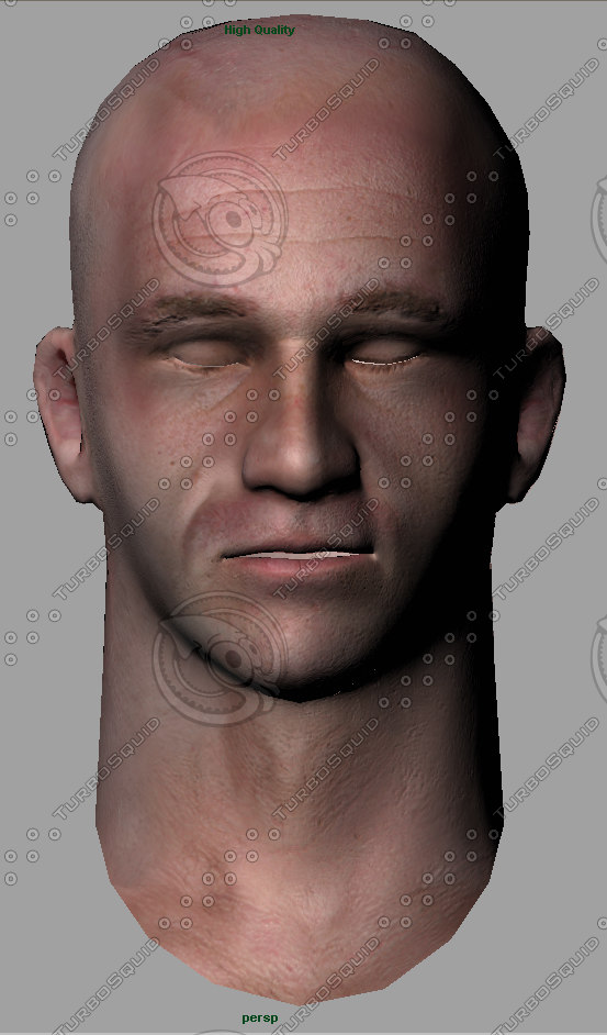3d head mesh color normal maps model