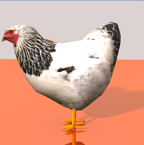 Free Bird 3D Models for Download | TurboSquid