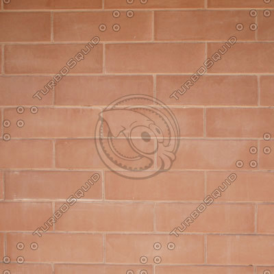 Texture JPEG bricks bricktex masonry