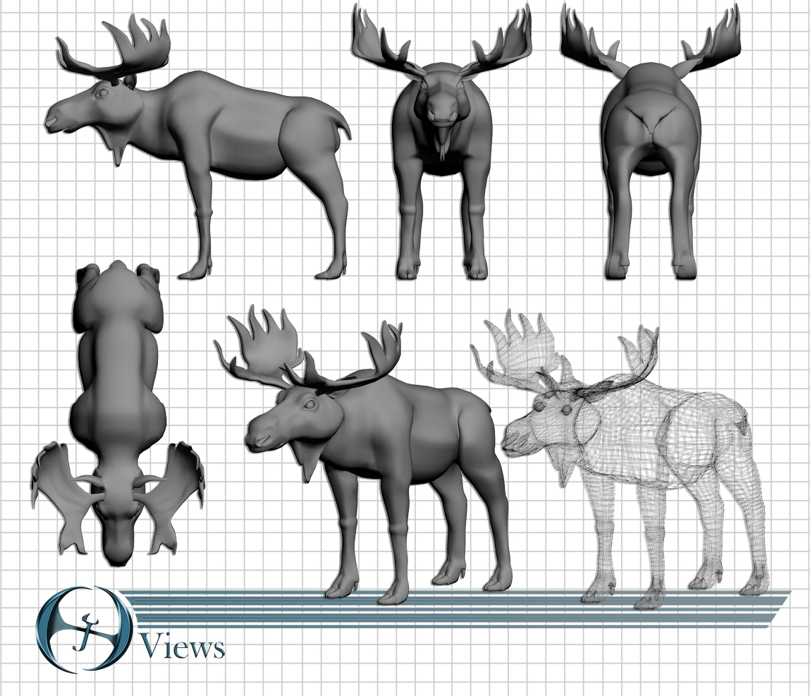 3d moose model