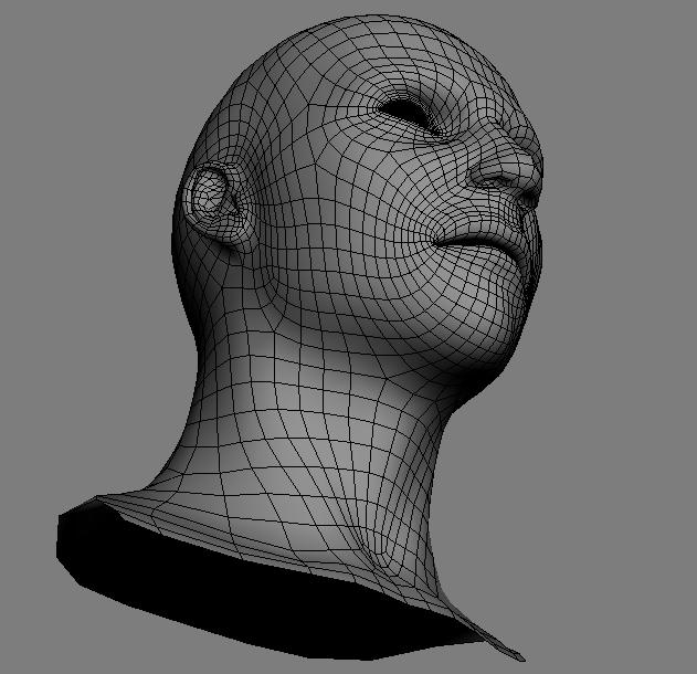 3d base mesh human head model