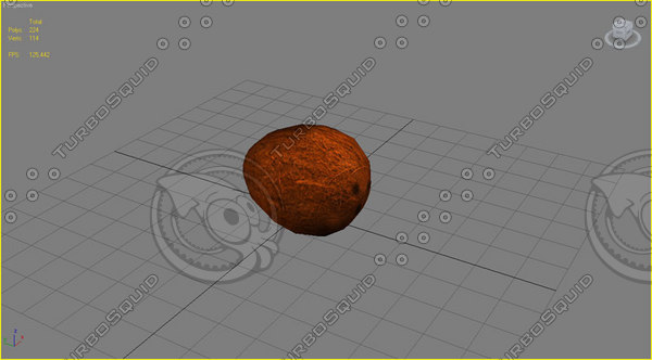 Coco Modelo 3D - TurboSquid 473014