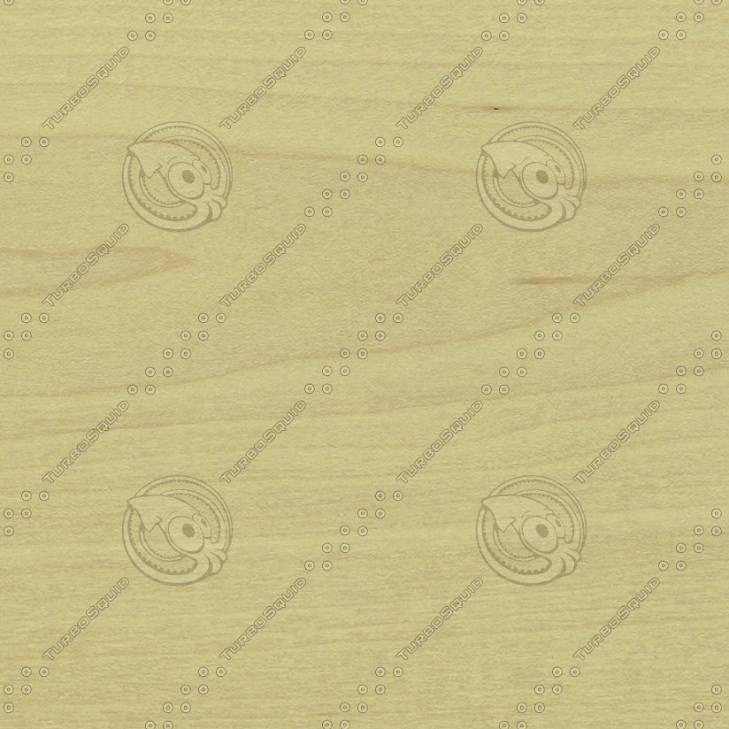 Texture JPEG Wood Maple Texture