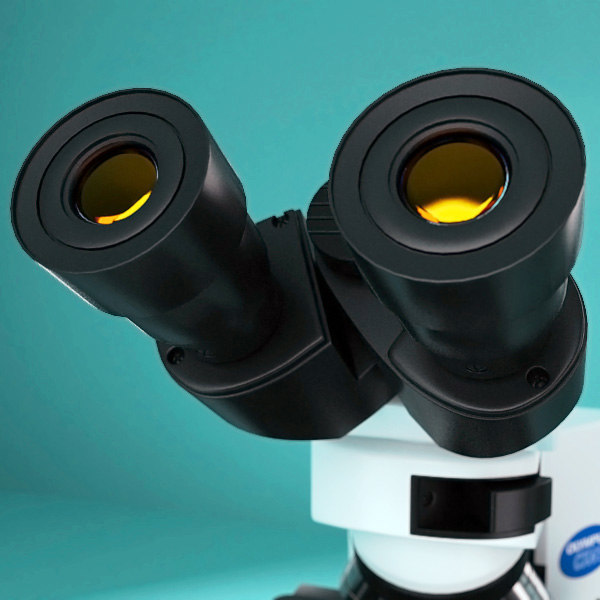 3d microscope olympus cx41 model
