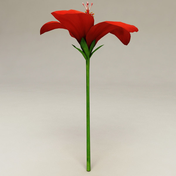 3d hibiscus modelled model