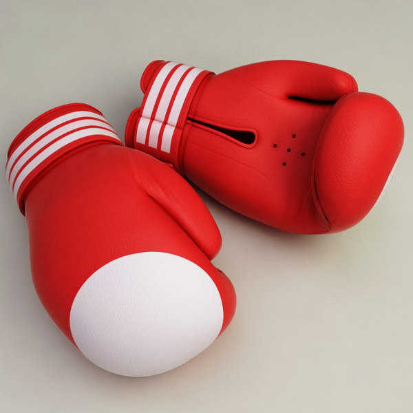 boxing set training 3d max