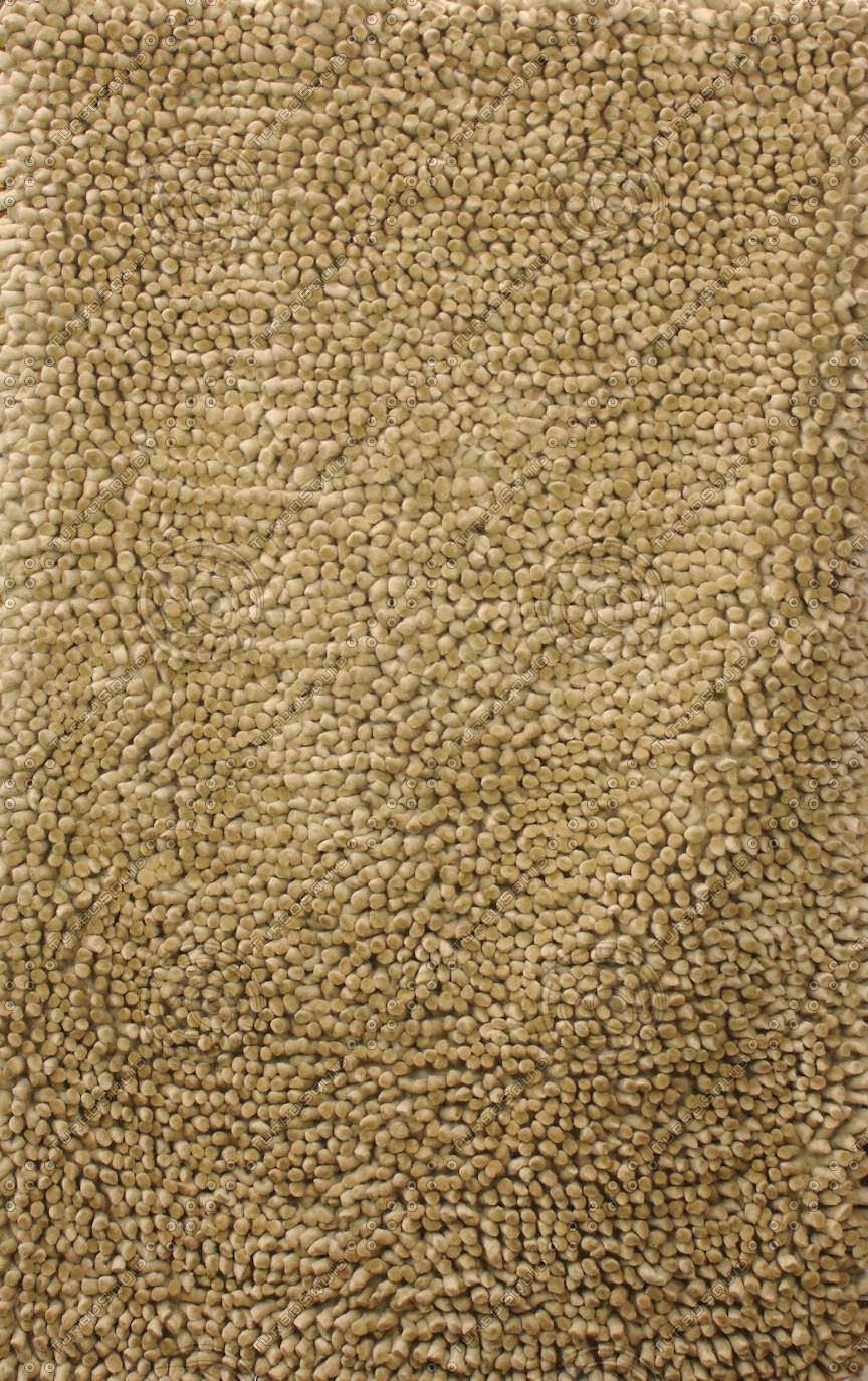 3d model of assorted rug