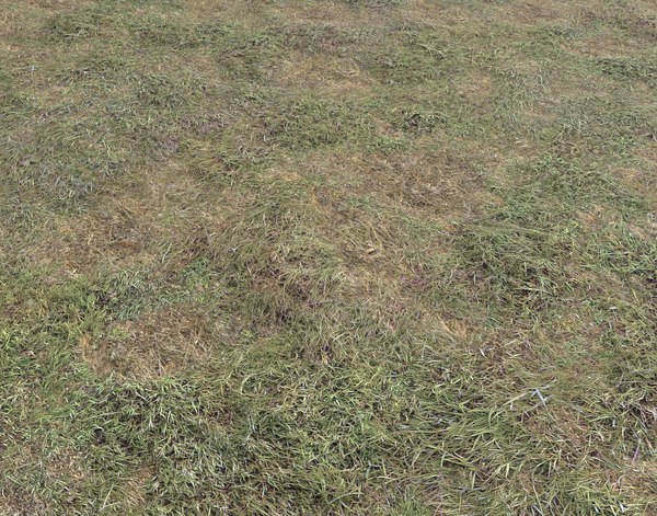 Texture PNG ground pbr grass