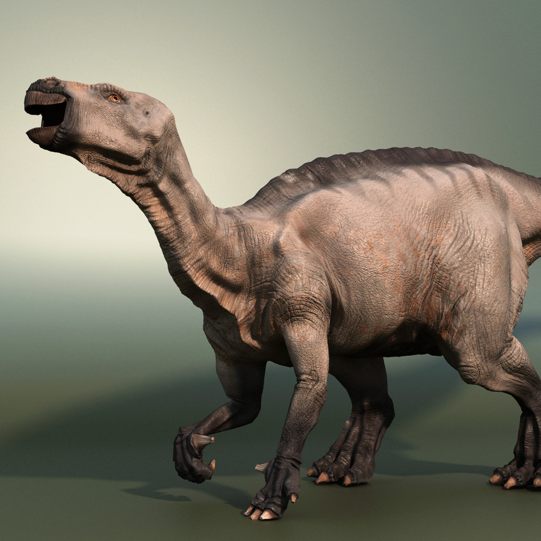 3d dinosaur iguanodon model