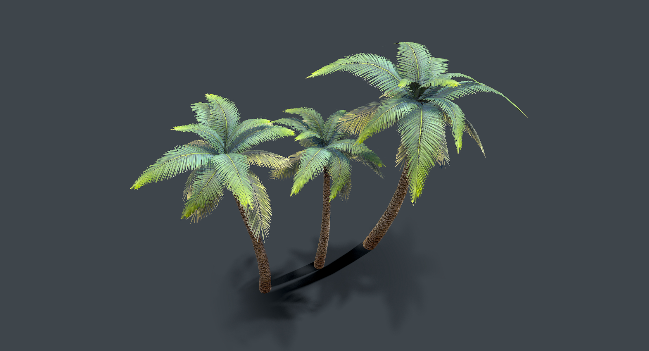 Ready palm tree 3D model - TurboSquid 1456109