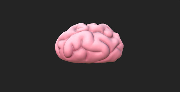 3D brain cartoon model - TurboSquid 1456152