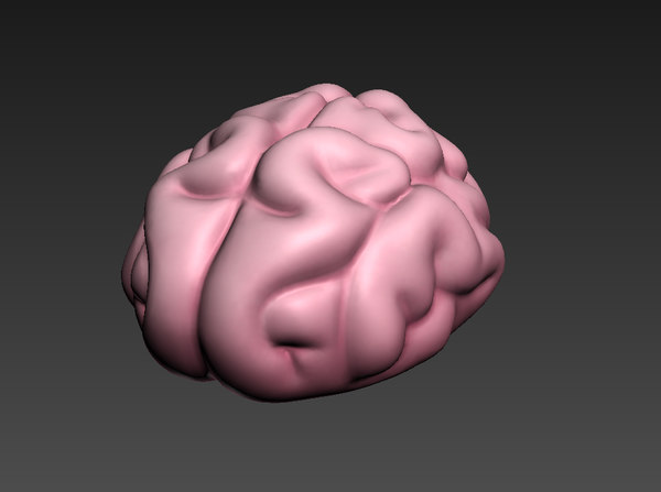 3D brain cartoon model - TurboSquid 1456152