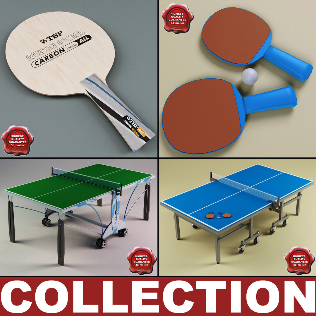 ping pong 3d max