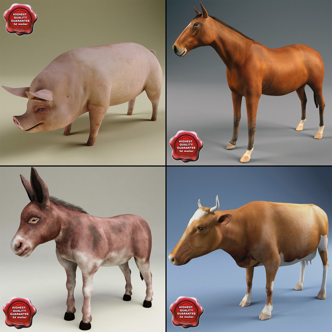 farm animals 3d model