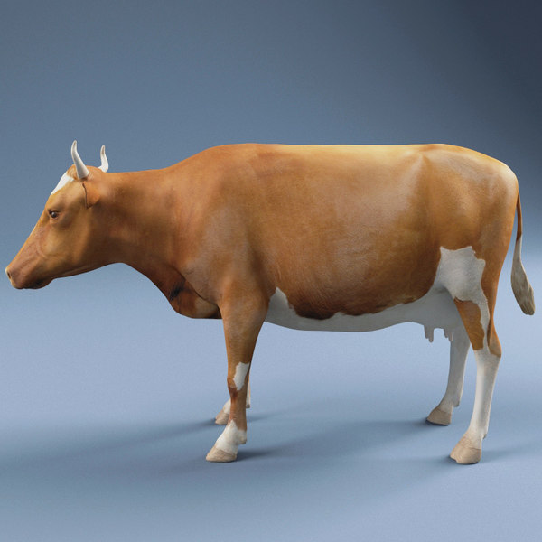 farm animals 3d model