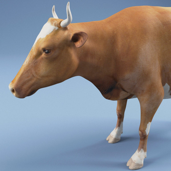 farm animals 3d model