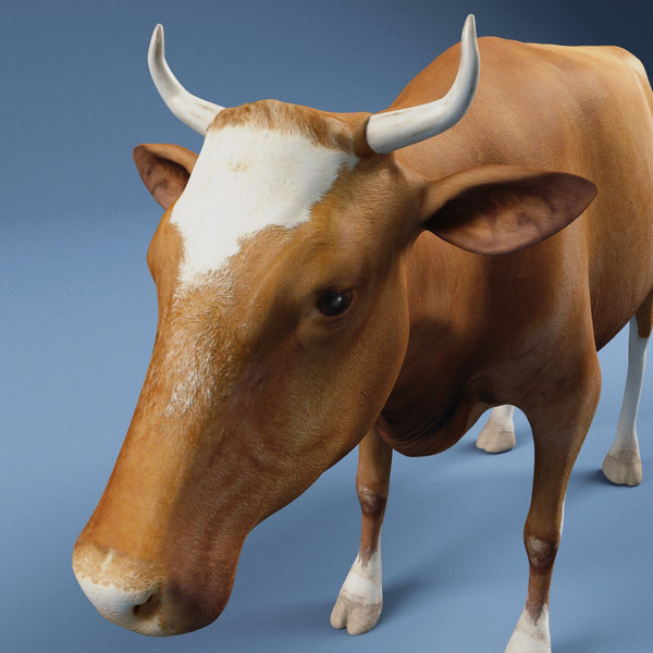 farm animals 3d model