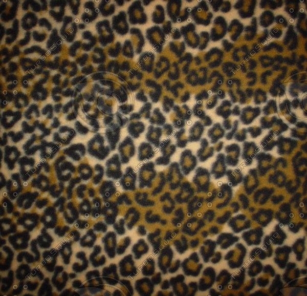 Texture JPEG material