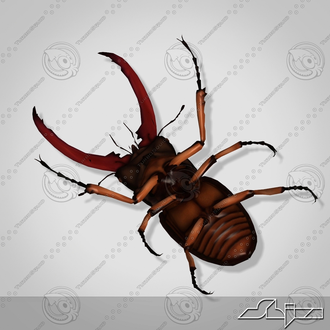 lucanus cervus 3ds
