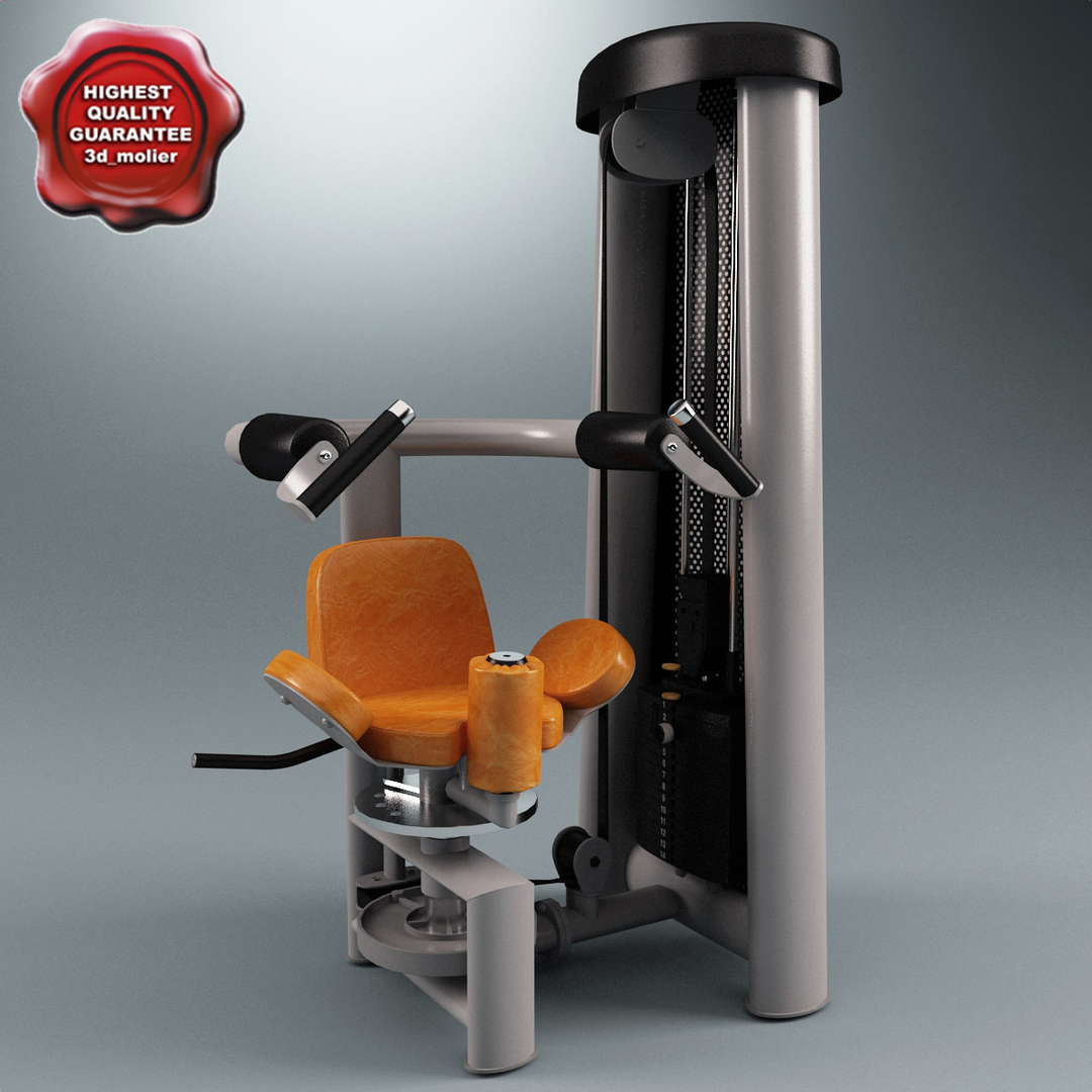 max rotary torso machine