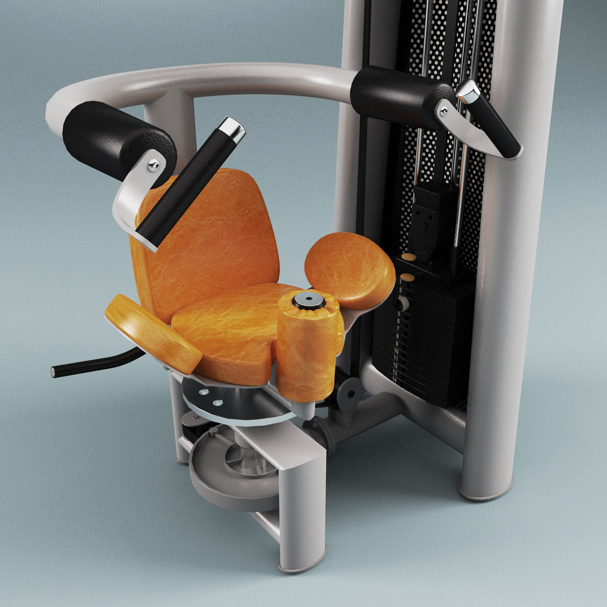 max rotary torso machine