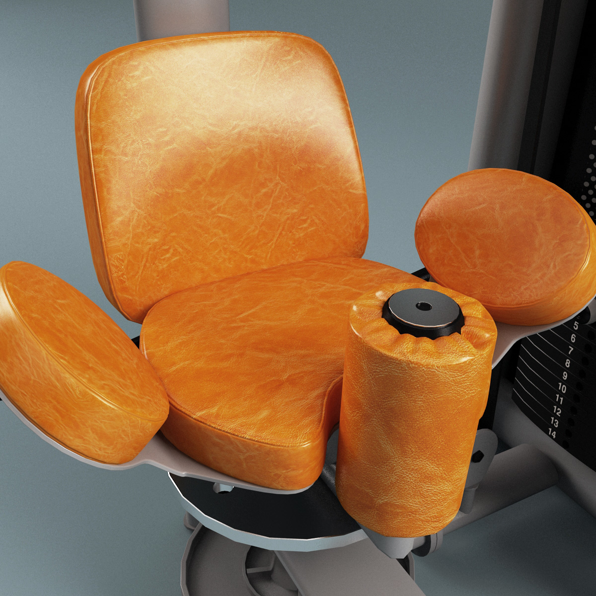 max rotary torso machine