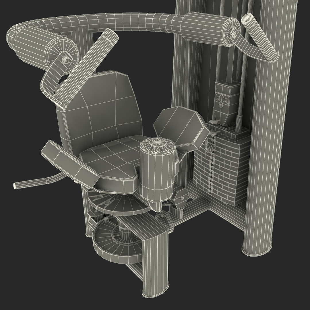 max rotary torso machine