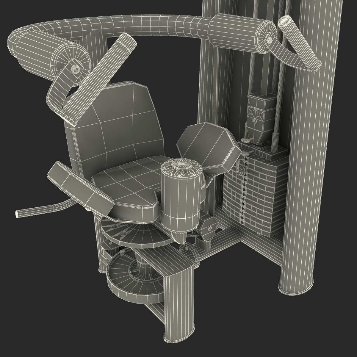 max rotary torso machine