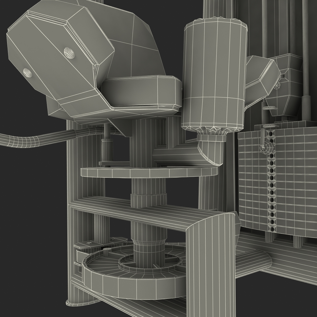 max rotary torso machine