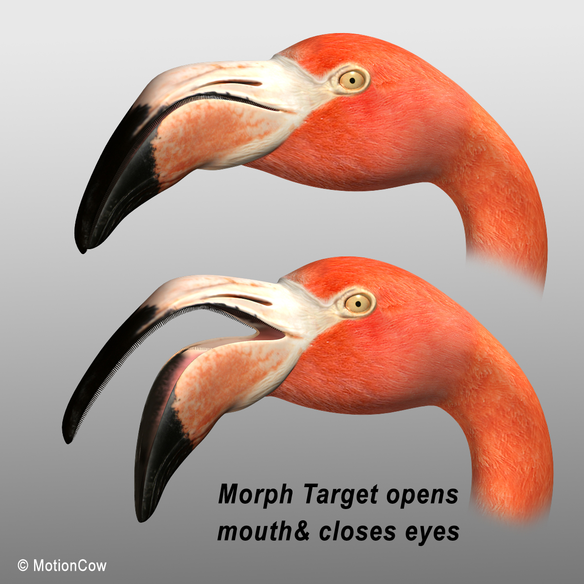 max realistic flamingo