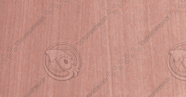 Texture JPEG tay sycamore bolivar